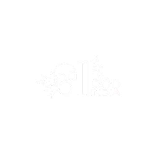bamboo india logo